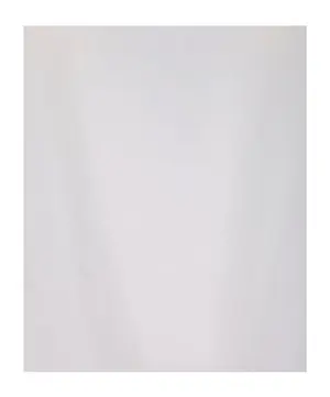 ERMANNO FIRENZE Pearl-embellished V-neck Blouse