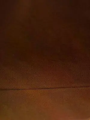 Celine Triomphe Coated Canvas Clutch Bag