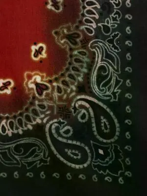 Destin Paisley-print Frayed Scarf
