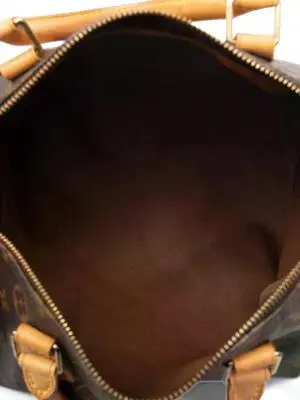 LOUIS VUITTON Speedy 30 Boston Bag