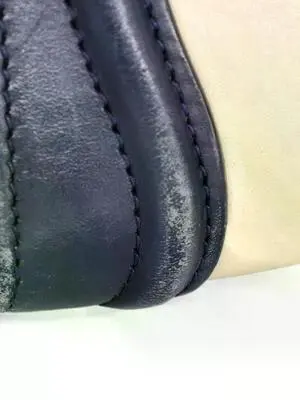Celine Tricolor Luggage Bag Leather Nano Tote Bag