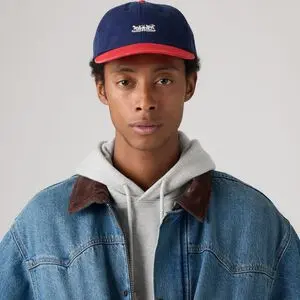 LEVI'S Rockridge Dad Cap - Medieval