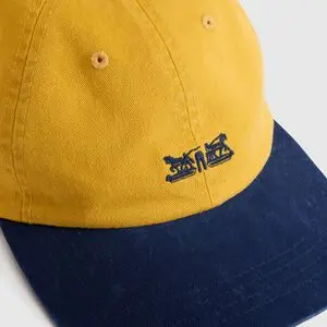 LEVI'S Rockridge Dad Cap