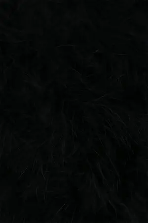 YVES SALOMON Single-breasted Feather Jacket - Black