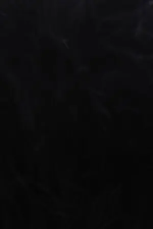 YVES SALOMON Single-breasted Feather Jacket - Black
