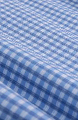 Bugatchi Devon Ooohcotton® Tech Check Long Sleeve Shirt