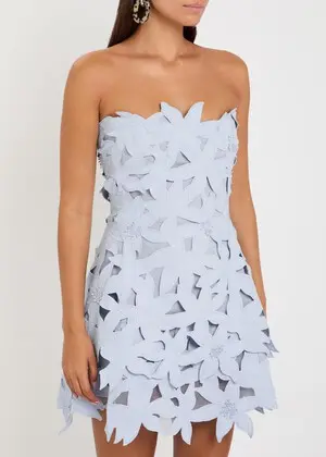 Simkhai Miri Floral-cutwork Woven Mini Dress