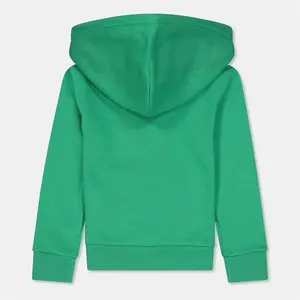 Polo Ralph Lauren Logo Hoodie