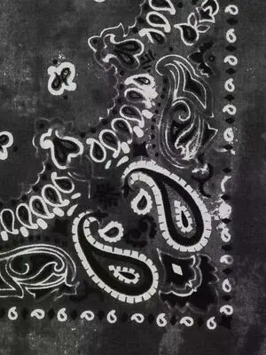 Destin Paisley-print Frayed Scarf