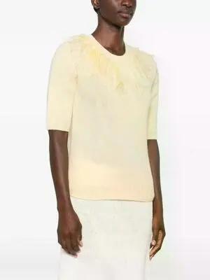 Fabiana Filippi Feather Trim Short Sleeve Sweater