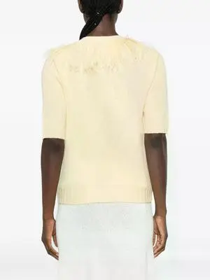 Fabiana Filippi Feather Trim Short Sleeve Sweater