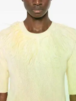 Fabiana Filippi Feather Trim Short Sleeve Sweater