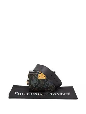 Dior 2017 Addict Zodiac Shoulder Bag