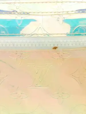 LOUIS VUITTON X Virgil Abloh 2019 Volga Prism-monogram Clutch Bag