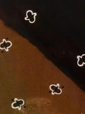 Destin Paisley-print Scarf