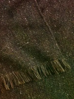 Polo Ralph Lauren Flecked Fringed Scarf - Brown