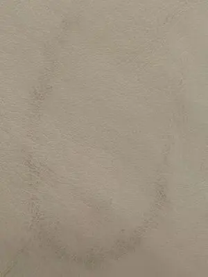 Bottega Veneta Intrecciato Leather Wristlet Pouch