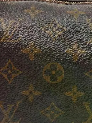 LOUIS VUITTON Papillon 26 Monogram Canvas Bag