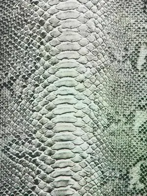 Stella McCartney 2010 Snakeskin-print Short-sleeve Mini Dress