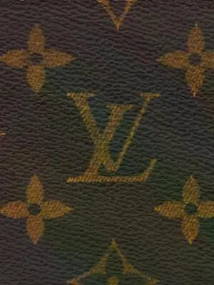 LOUIS VUITTON Vavin Monogram Card Holder