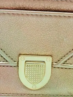 Dior 2019 Diorama Card Holder