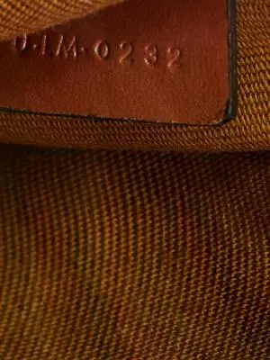 Celine 2022 Ava Triomphe Mini Bag