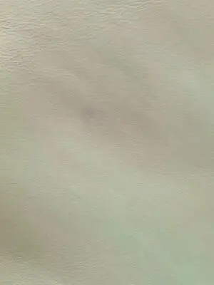 Miu Miu Ivy Leather Tote Bag