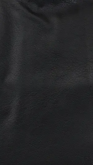 Bardot Delphi Faux Leather Mini Dress