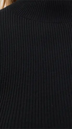 Alice + Olivia Roberta Ribbed Turtleneck Top