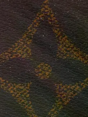 LOUIS VUITTON Reverse Monogram Giant Iphone Case
