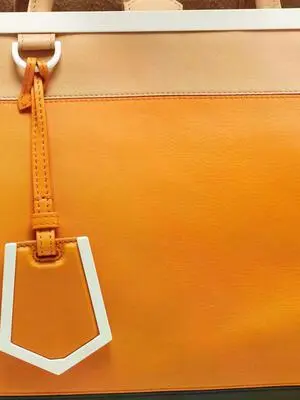 Fendi 2jours Tote Bag - Orange