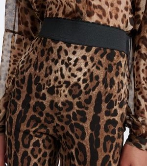 Dolce & Gabbana Leopard-print Leggings