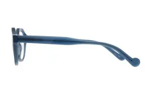 RENEE'S READERS Paul Photochromic Blue Light Reading Glasses