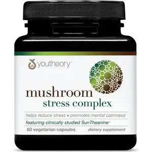 YOUTHEORY Organic Mushroom Stress Complex Supplement With L-theanine 60 Vegetarian Capsules - None