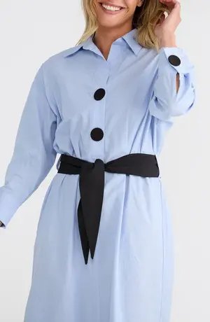 BRAVE+TRUE Coventry Tie Waist Long Sleeve Shirtdress