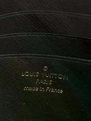 LOUIS VUITTON Félicie Strap & Go Bag