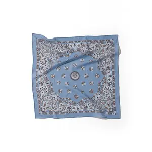 Miu Miu Printed Wool And Cashmere Scarf
