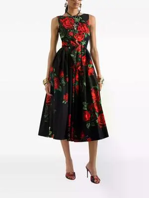 Dolce & Gabbana Rose-print Poplin Midi Dress