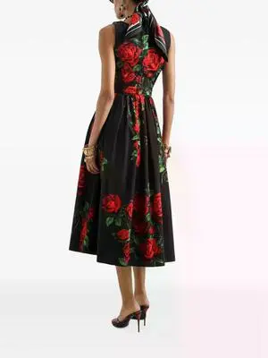 Dolce & Gabbana Rose-print Poplin Midi Dress