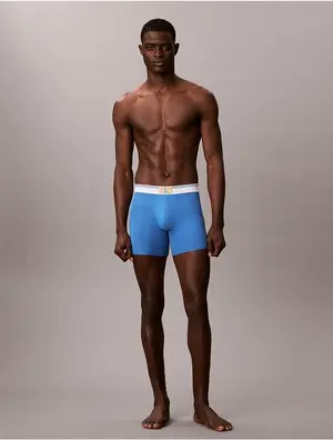 Calvin Klein Graphic Monogram Microfiber Stretch Rib Boxer Brief - Poseidon Blue