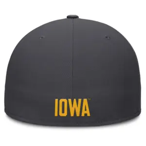 Nike Iowa Pro Dri-fit College Fitted Hat