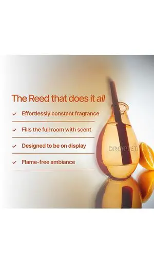 DROPLET Focus Reed Diffuser In Orange Blossom In Orange