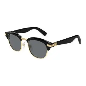 Cartier Wayfarer Sunglasses