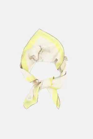 Jacquemus Grand Caniche Scarf In Silk