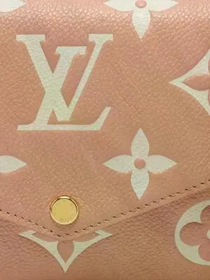 LOUIS VUITTON Pochette Félicie Clutch Bag - Pink