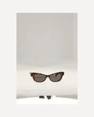 Celine Triomphe Sunglasses - Multicolor
