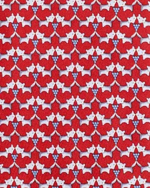 FERRAGAMO Silk Neck Tie - F. Rosso