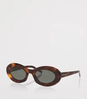 Saint Laurent Sl 594 Oval Sunglasses - Brown