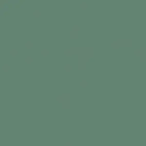 Ray-ban Rb2218 Irregular Frame Sunglasses - Green