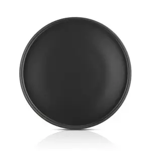 STONE + LAIN Celina Stoneware 4-piece Dinner Plate Set
